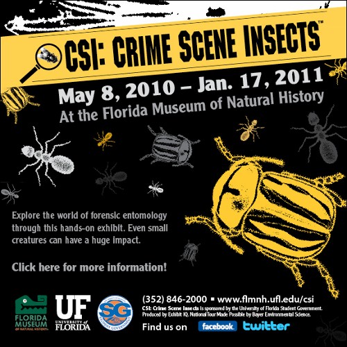 Last Chance To See Crime Scene Insects! - Visit Natural North Florida