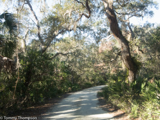Cedar Key's Shell Mound, a "Sea Kayaker's Playground" - Visit Natural ...