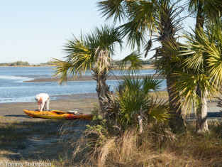Cedar Key's Shell Mound, a "Sea Kayaker's Playground" - Visit Natural ...