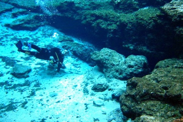 Four Spectacular Florida Springs for Beginner Scuba Divers - Visit ...