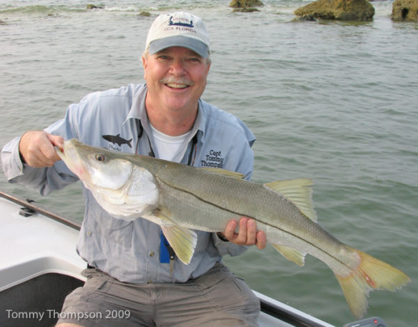 Warmer Water and Air Temperatures Drive Snook North Into Florida's ...