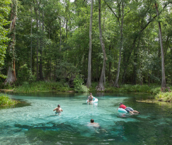 Natural North Florida's Gilchrist Blue Springs is Now Florida's Newest ...