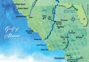 It's All About Seafood....Florida's Big Bend Shellfish Trail - Visit ...