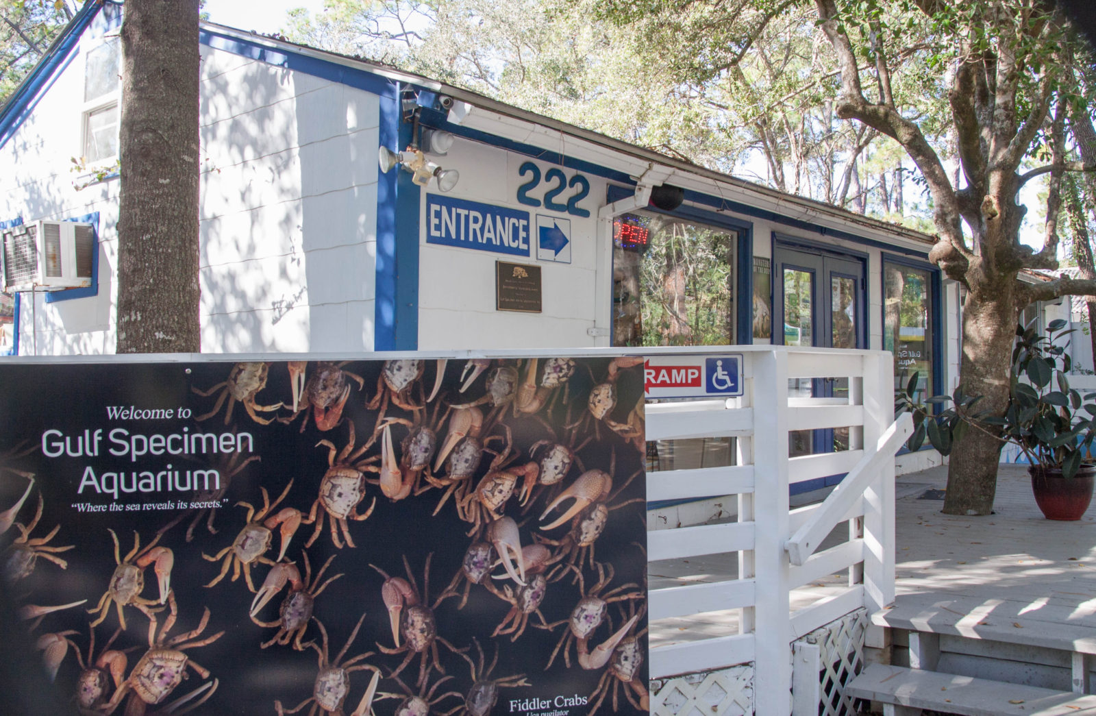 Take A Virtual Vacation to Wonderful Wakulla County, Florida-An Outdoor ...