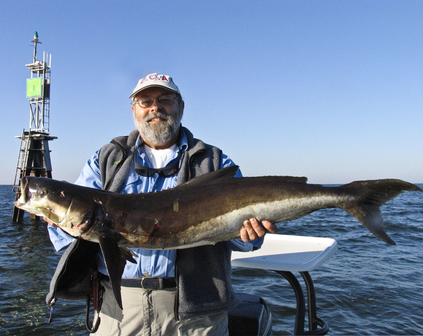 LET'S GO FISHING ON FLORIDA'S BIG BEND! LESSON #1: COBIA - Visit ...