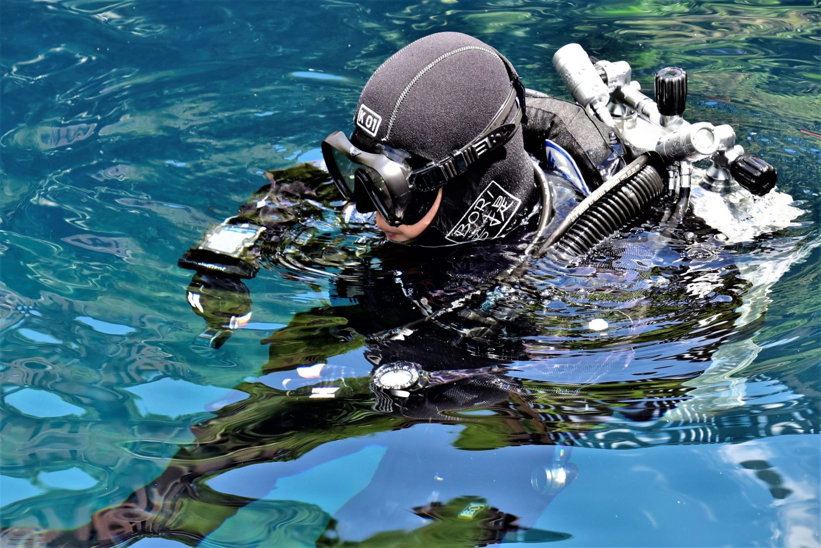 The 25 Best Things to do in Levy County - Visit Natural North Florida