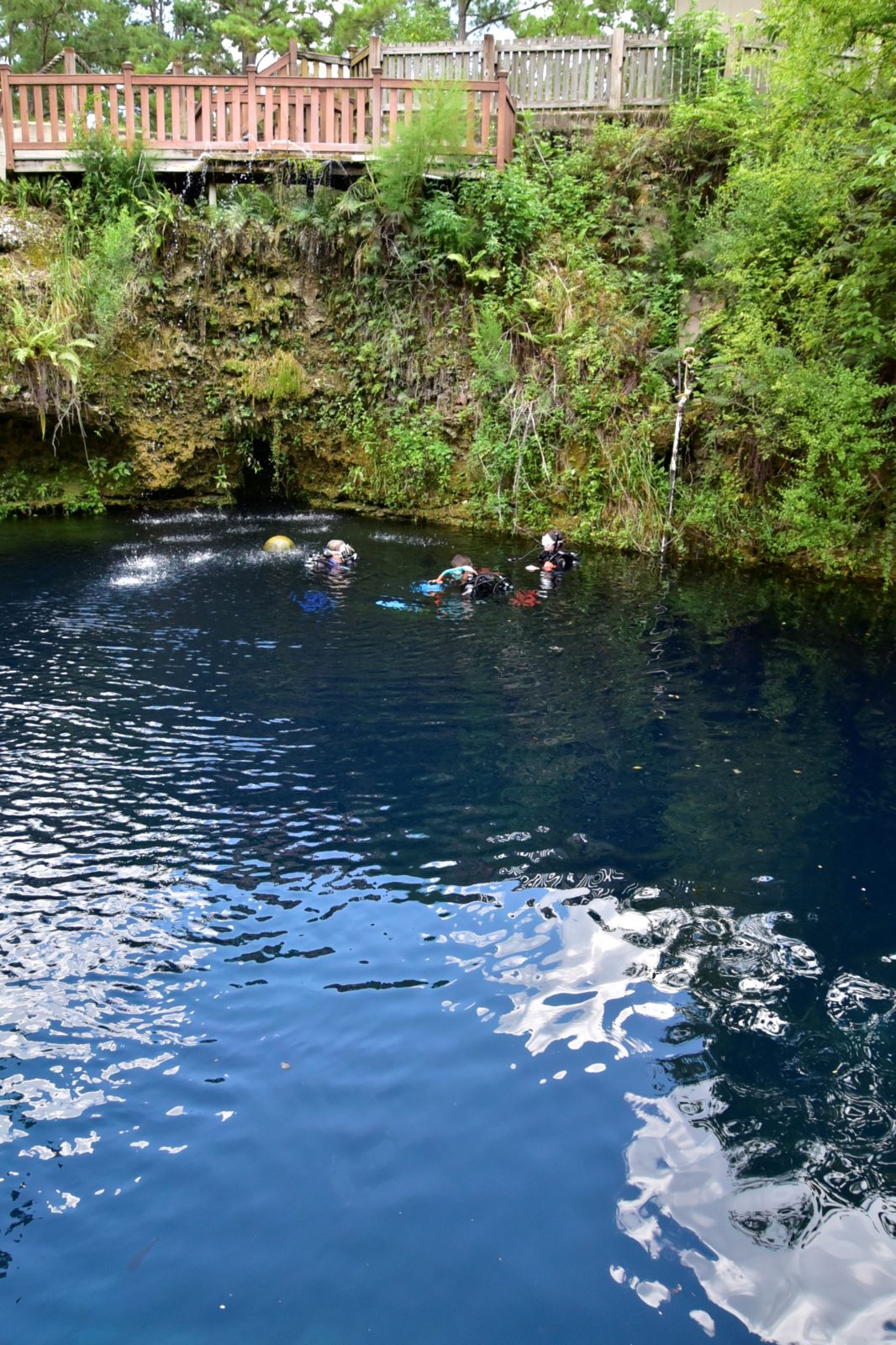 The 25 Best Things to do in Levy County - Visit Natural North Florida