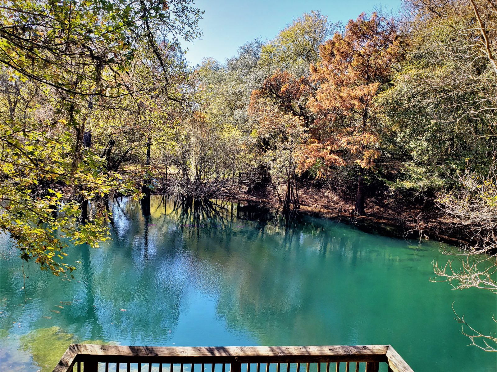 Suwannee River Rules County! 30 Fantastic Activities - Visit Natural ...